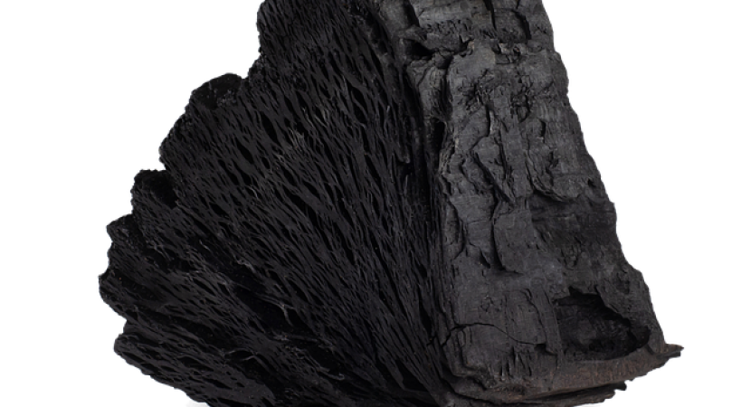 Carbunele activ – aliatul natural al sanatatii